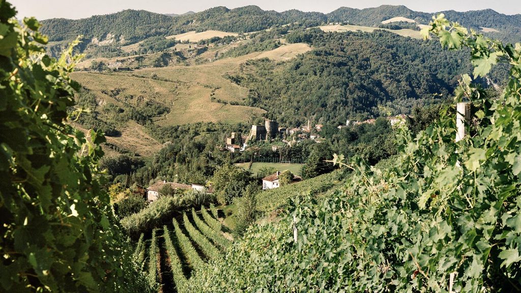 Territorio - Nicolucci